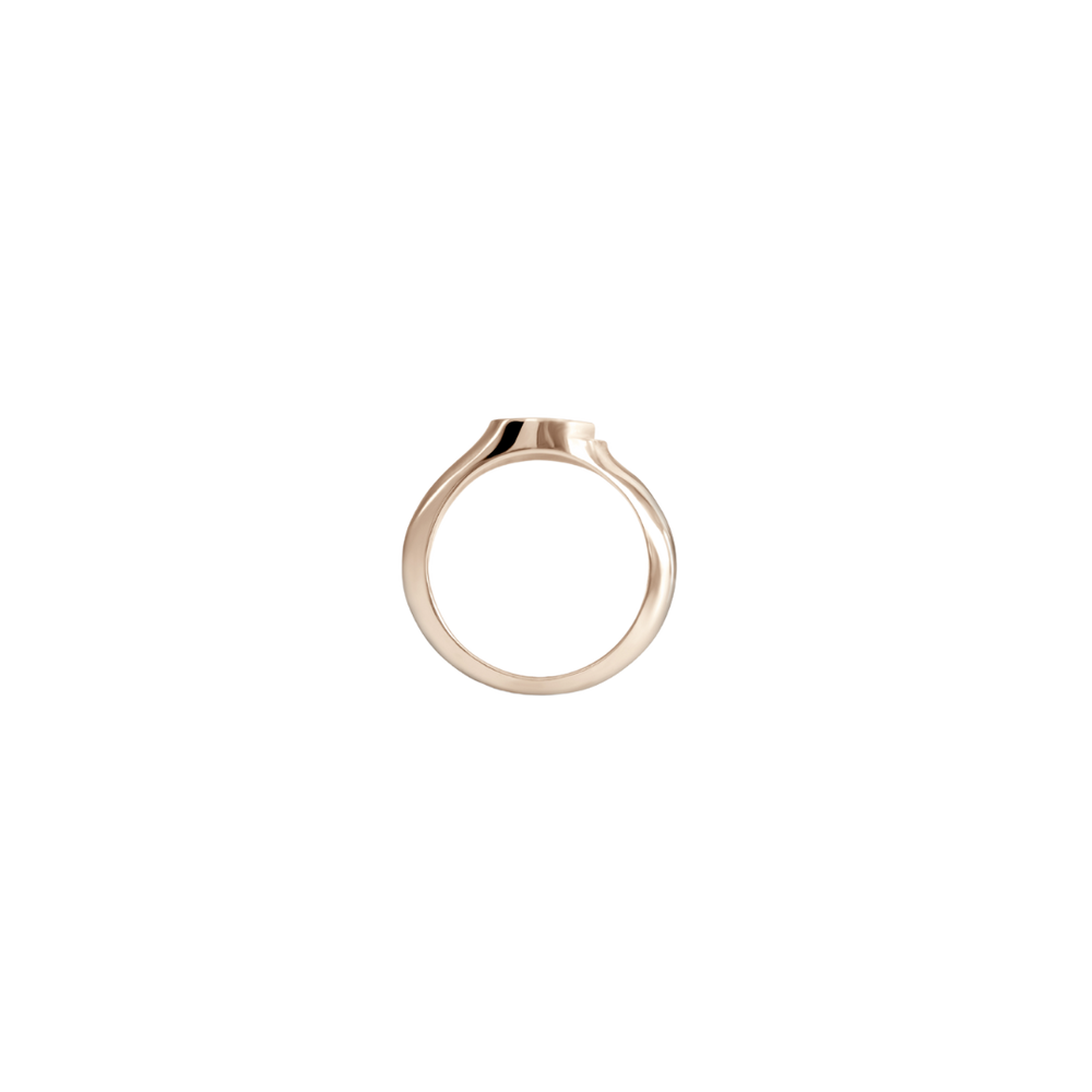 Signet ring initials