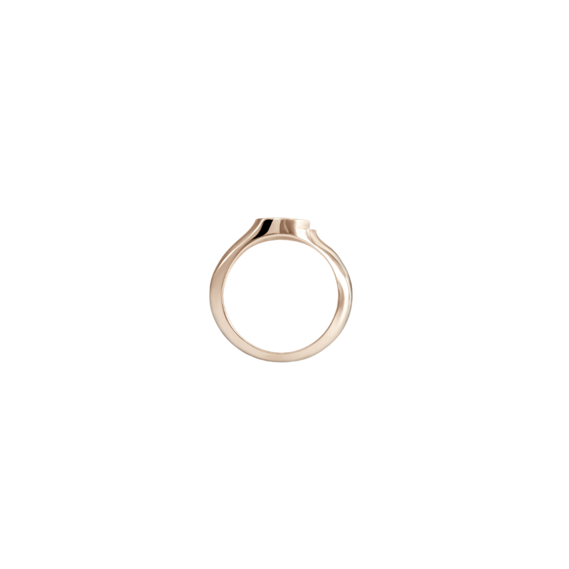 Signet ring initials